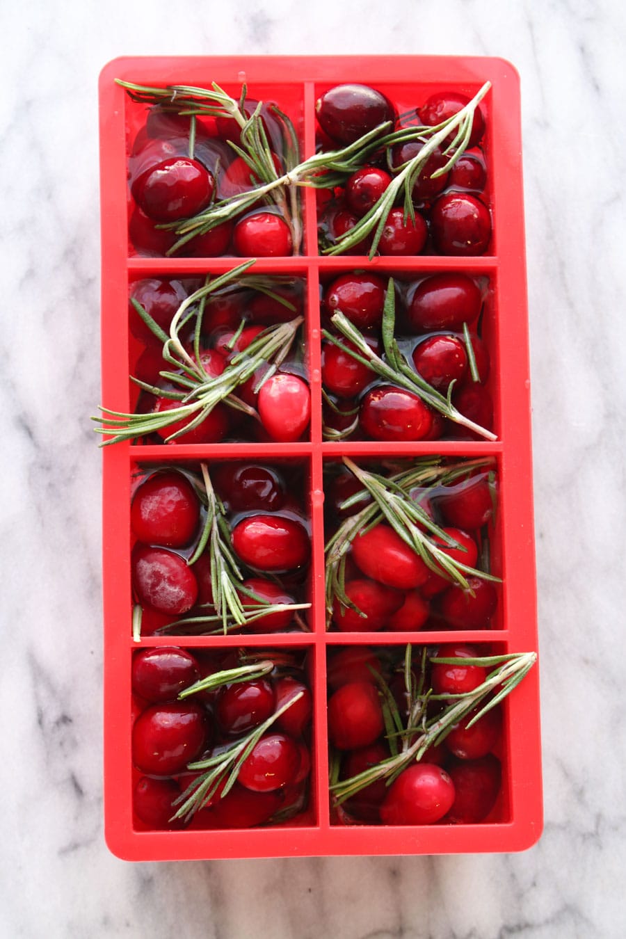 Fancy Ice Cubes - Krazy Kitchen Mom