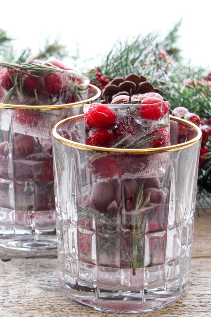 Fancy Ice Cubes - Krazy Kitchen Mom